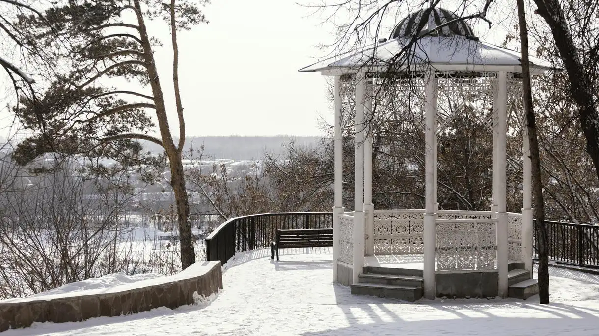 The Bronx Zoo in Winter: Tips for a Stress-Free Family Trip